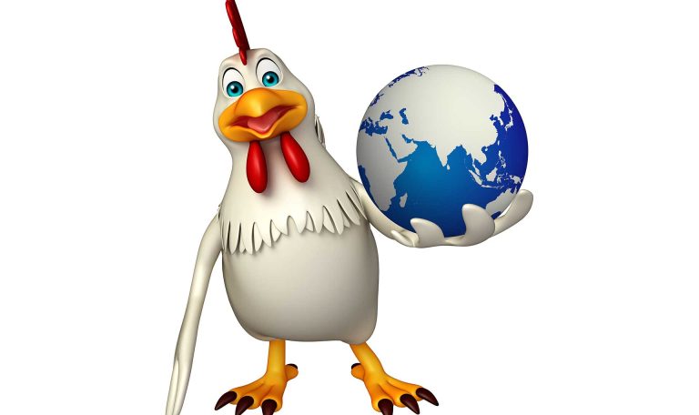 Chickens are fine... everywhere - More About Chicken